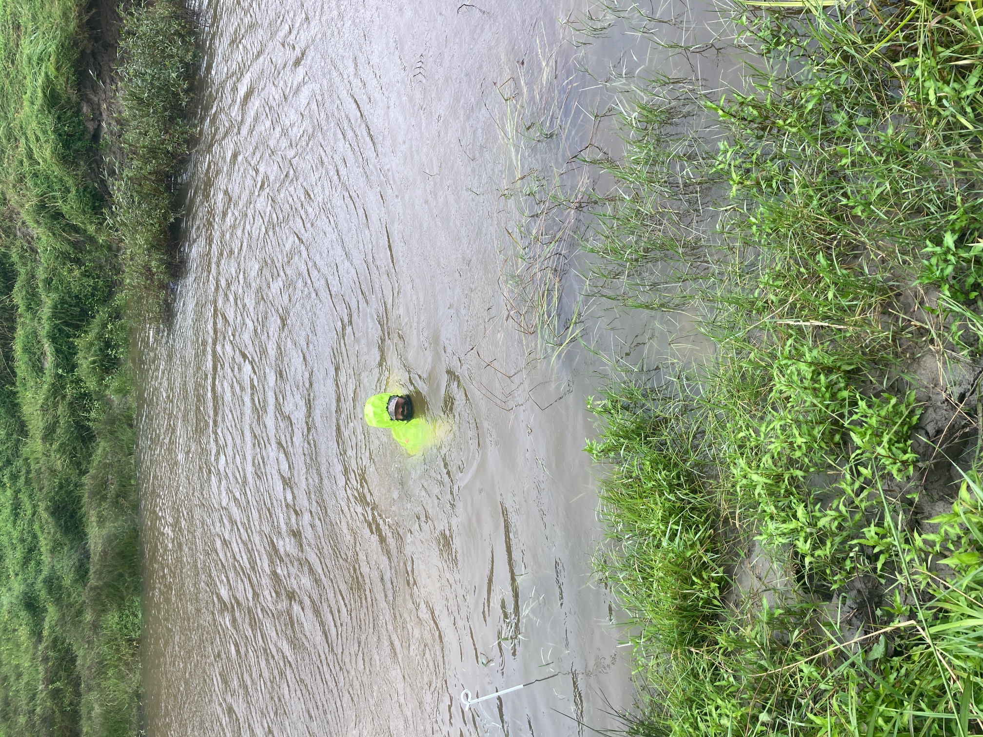 Urenui River Eel Survey 2026